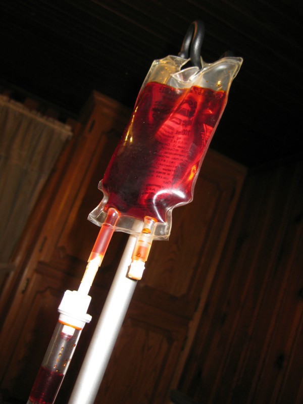 Help Gwyn Beat Lyme & Co-Infections by Gwyn Fowler - GoFundMe